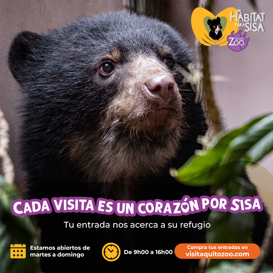 Visita el Quito Zoo | Visita Quito Zoo
